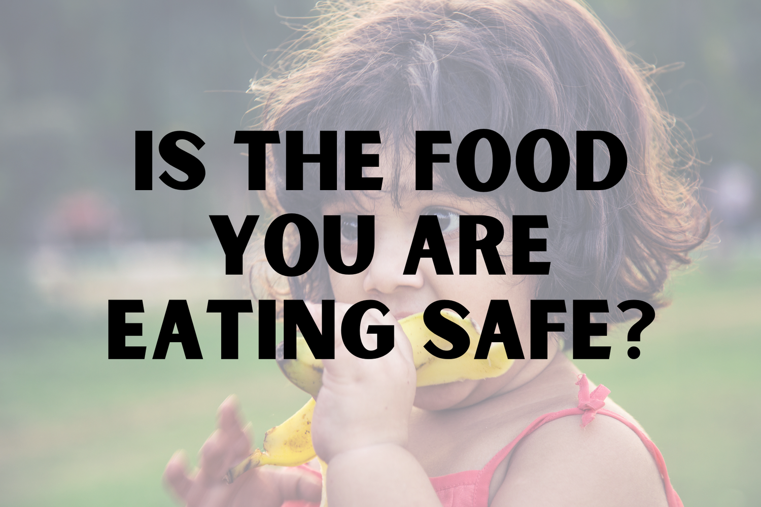 World Food Safety Day: Building a Culture of Safety and Trust in Every ...